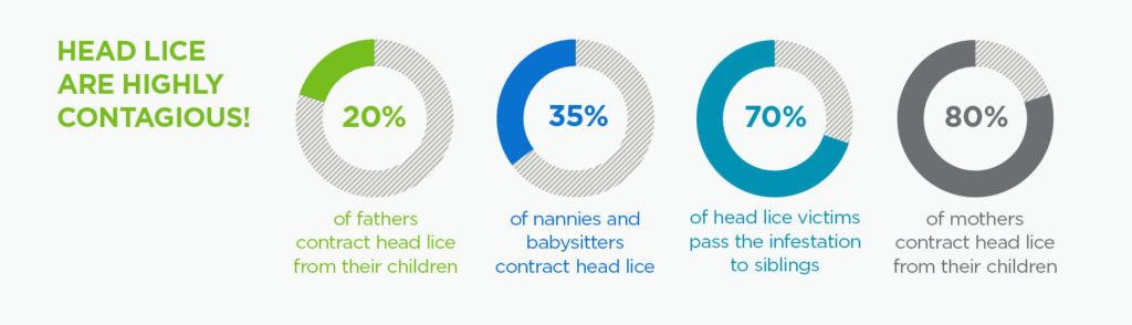 Head Lice Facts | Get Educated And Learn How To Prevent Lice
